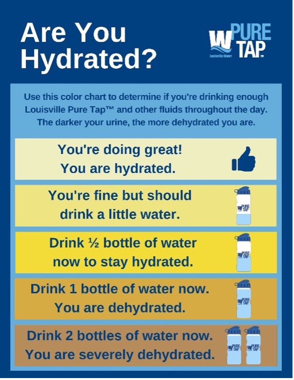 Hydrating With Louisville Pure Tap® - Louisville Water Company